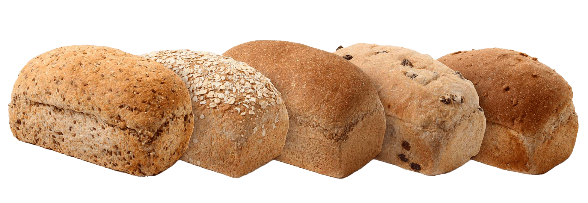 harvest wheat bread